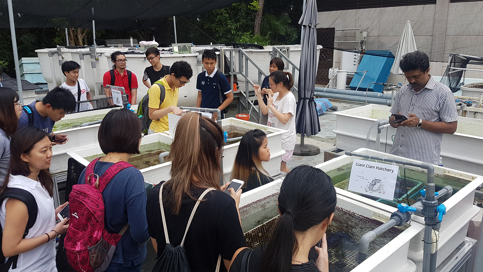 Maritime Learning Journey 2017 - National Marine Laboratory - Singapore ...