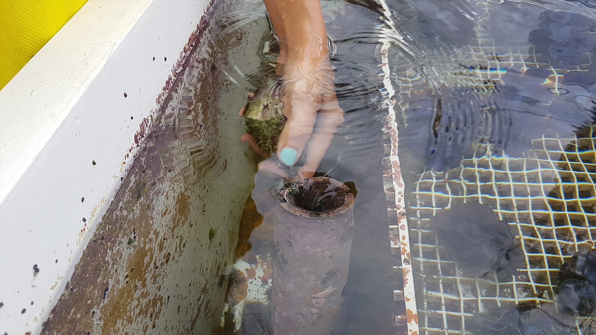 Maritime Learning Journey 2017 - National Marine Laboratory - Singapore ...