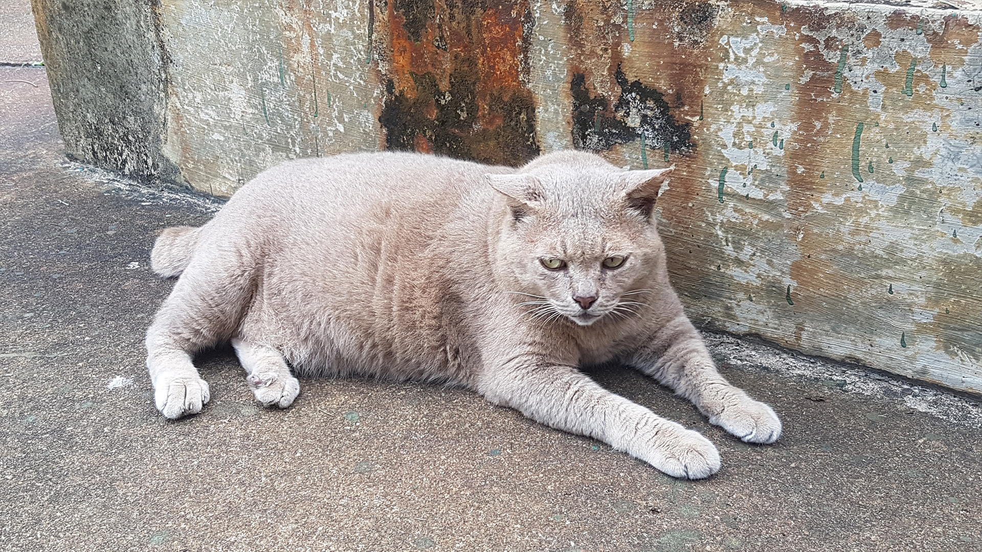 Maritime Learning Journey 2017 - National Marine Laboratory - Singapore ...